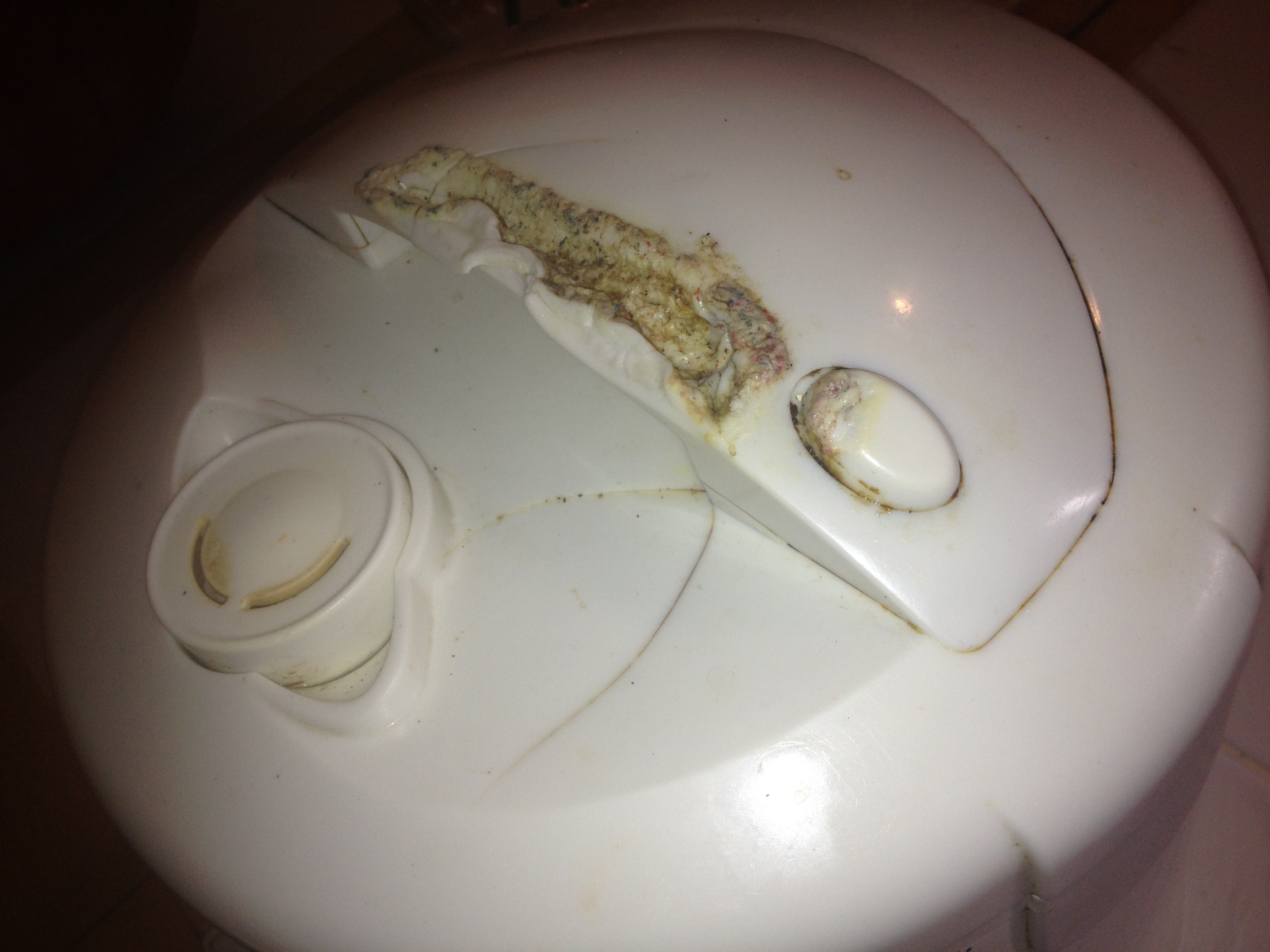 Restoring Dignity 12 2012